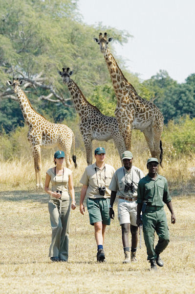 Simbabwe Reisen 2020: Urlaub im afrikanischen Paradies